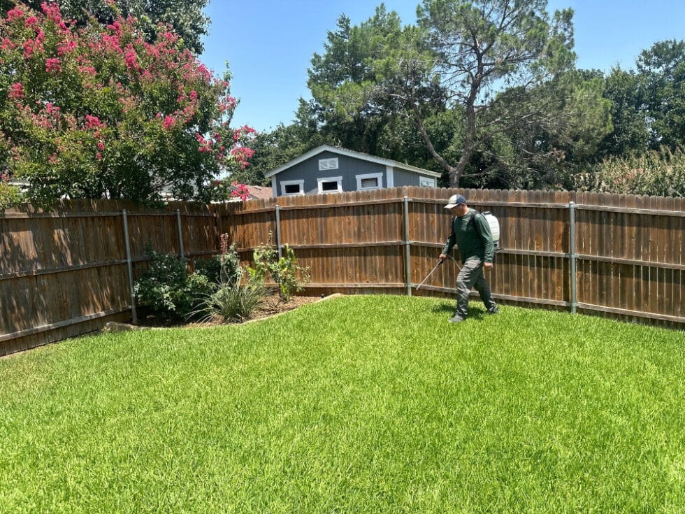 Your Guide to Lawn Pre-Emergent Weed Control – Green Top Lawn Care