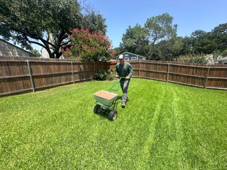 What Is the Best Time of Year for Lawn Fertilization? – Green Top Lawn Care